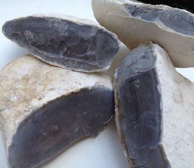 Whole George Town (20lbs) – Flintknapping Supplies, LLC